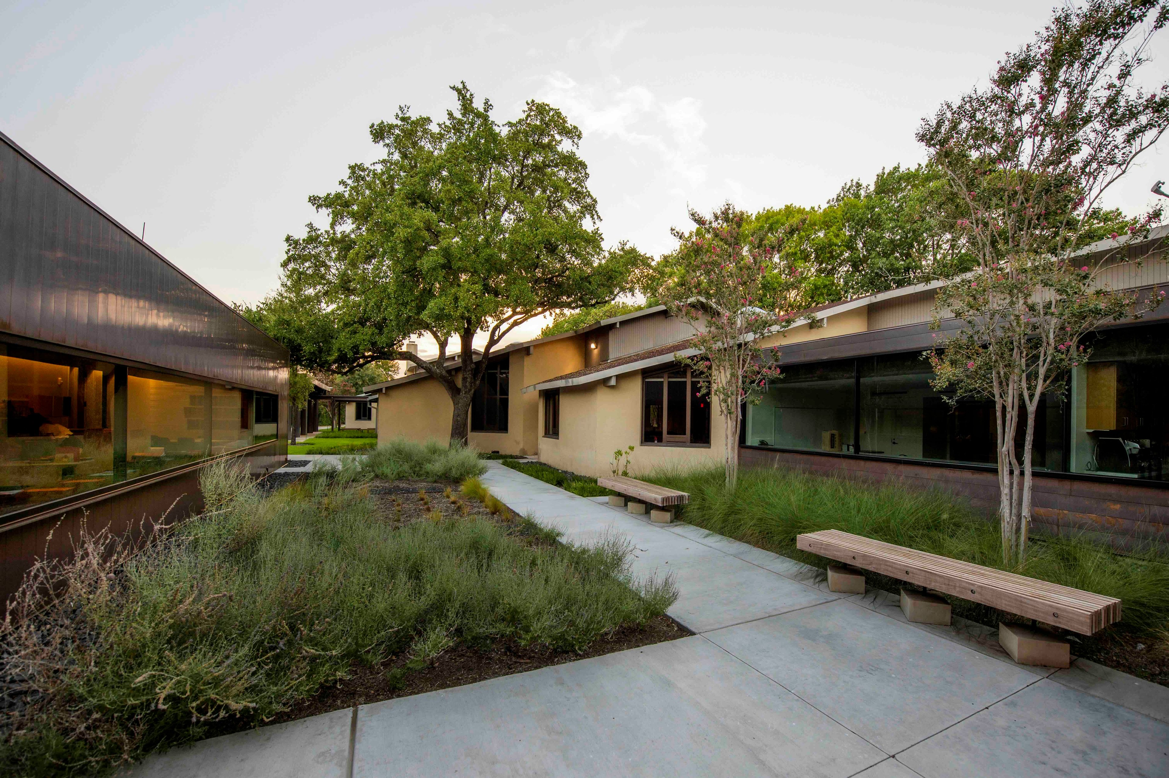 The Lamplighter School