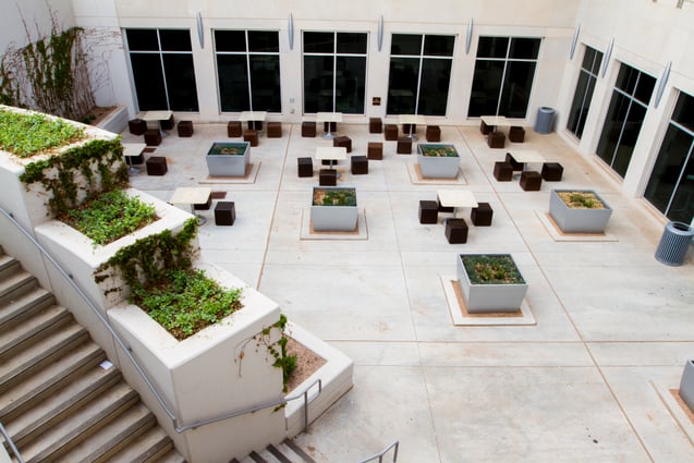 Texas Tech University - Rawls College of Business