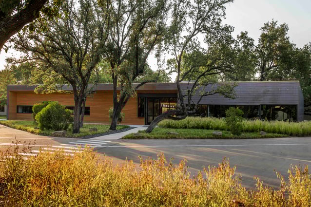 The Lamplighter School